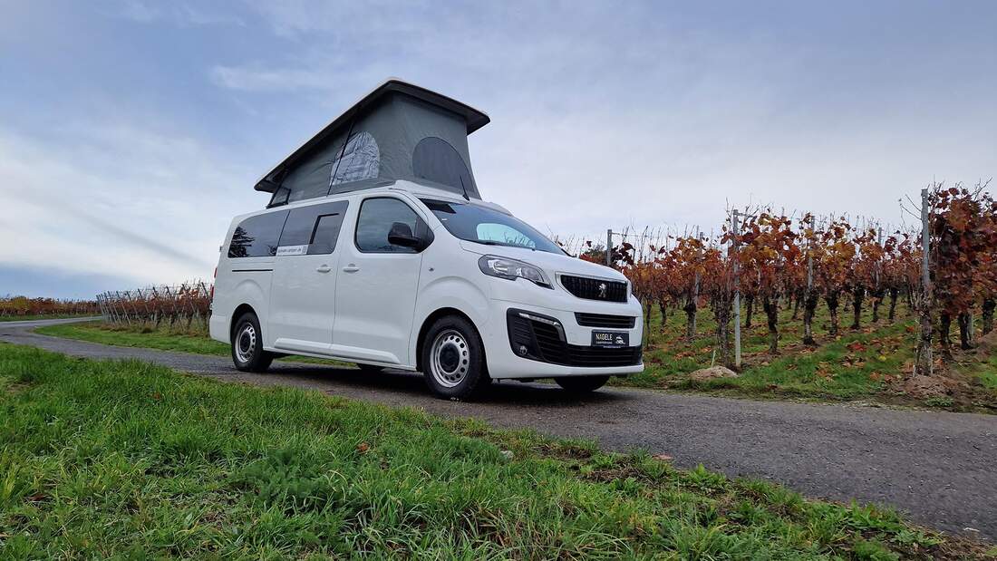 Nägele Sunvan (2024) Campervan auf Peugeot Expert | promobil