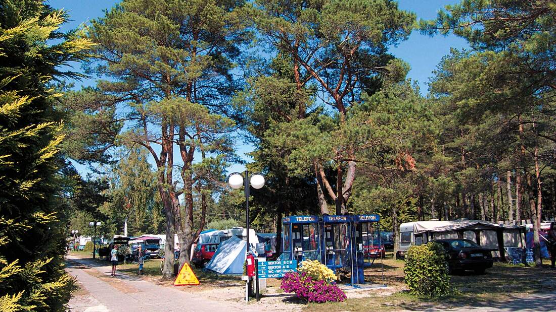 Campingplatz-Tipp polnische Ostsee: Camping Morski Nr. 21 | promobil