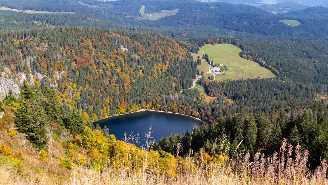 Wohnmobil-Tour Schwarzwald im Herbst und Winter: 3 Tipps | promobil