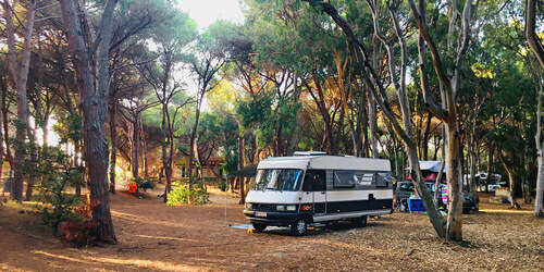 Gebrauchte Wohnmobile: 12 beliebte Modelle im Check | promobil