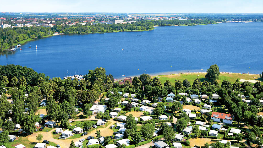 Senftenberger See Ferienhaus Mit Hund