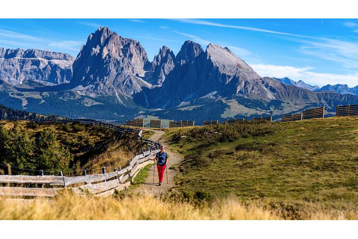 Wohnmobil-Urlaub Seiser Alm und Bozen | promobil