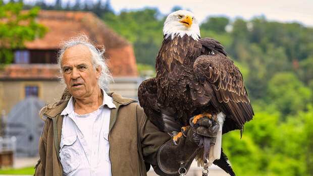 Wohnmobilstellplatz Cimbria: Mitten im Naturpark Neckar-Odenwald | promobil