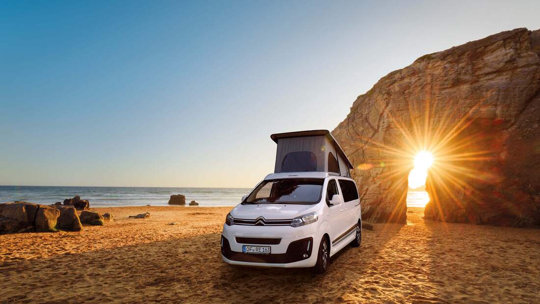 Wandelbarer Reimo Campingbus | promobil