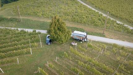 Wanderkuss Vanlife-Trailer (2024): Schick und was noch? | promobil